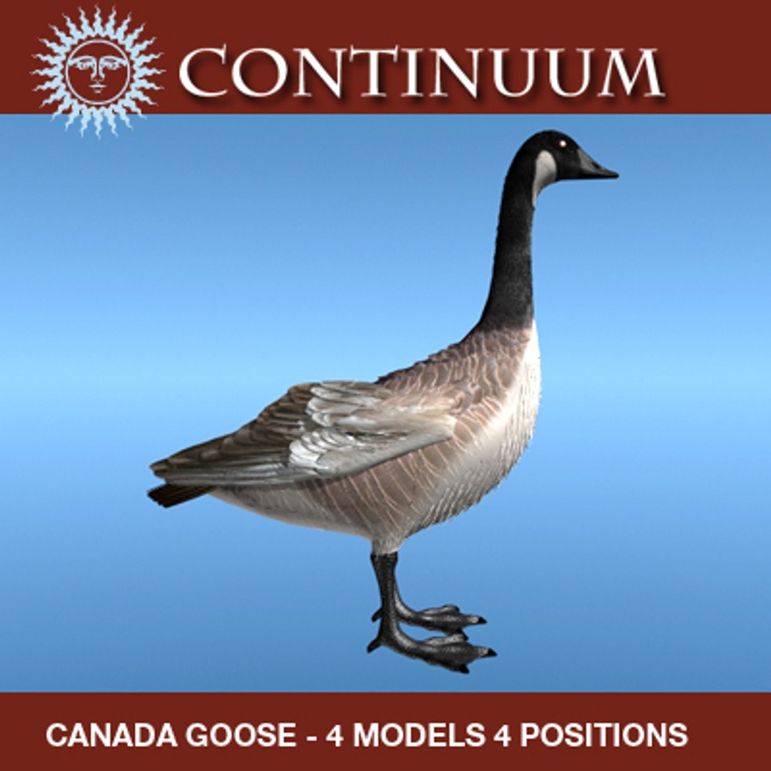 3d Canada Goose Static 4