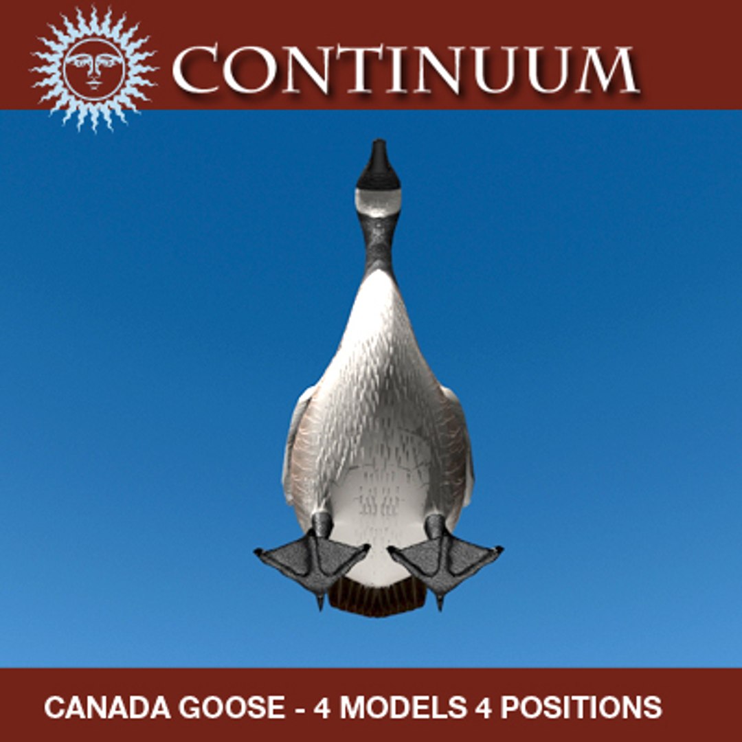 3d Canada Goose Static 4