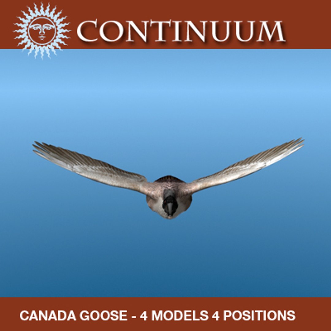 3d Canada Goose Static 4