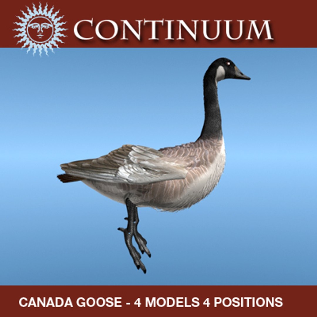 3d Canada Goose Static 4