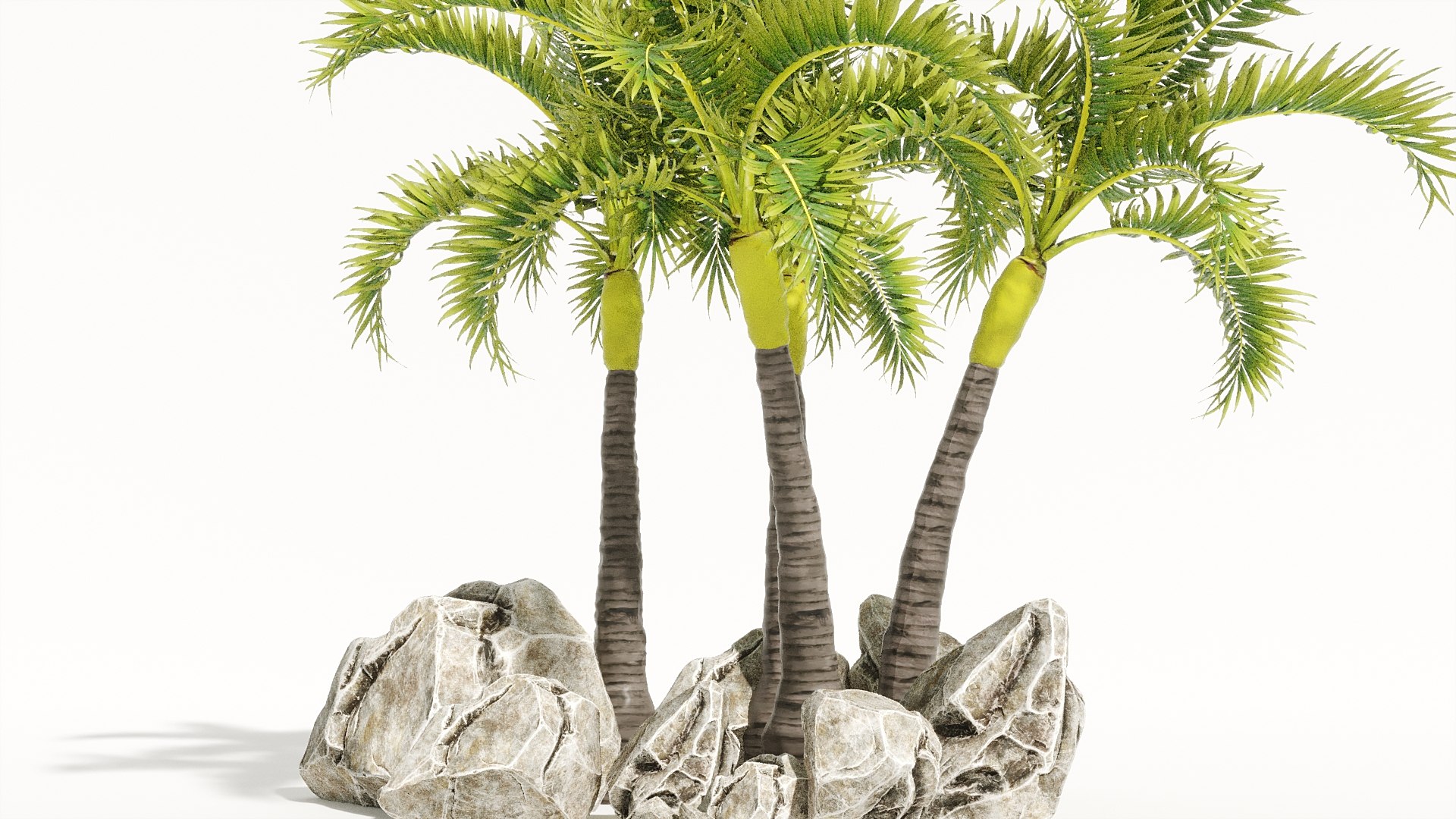 3D Palm Collection - TurboSquid 2221356