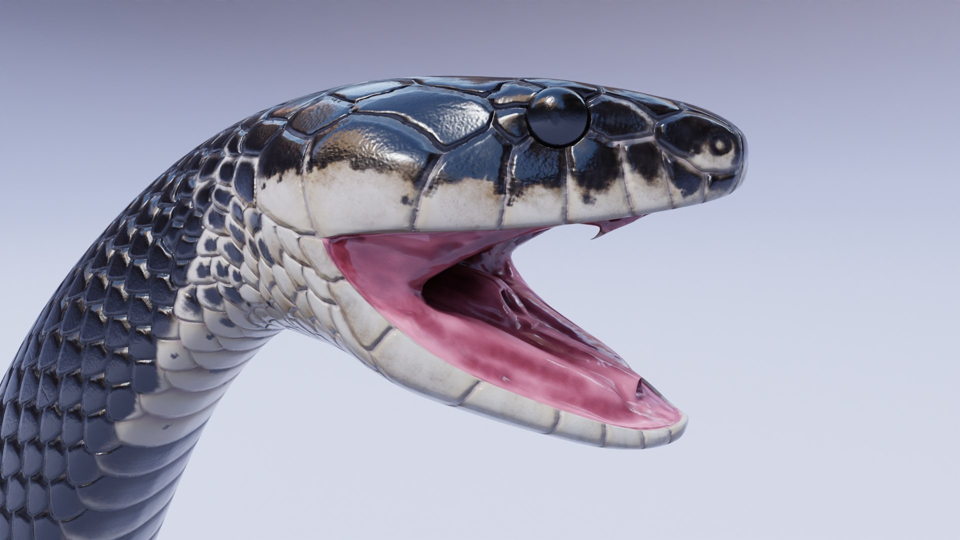 Rigged Malayan Krait 3D Model - TurboSquid 1952289