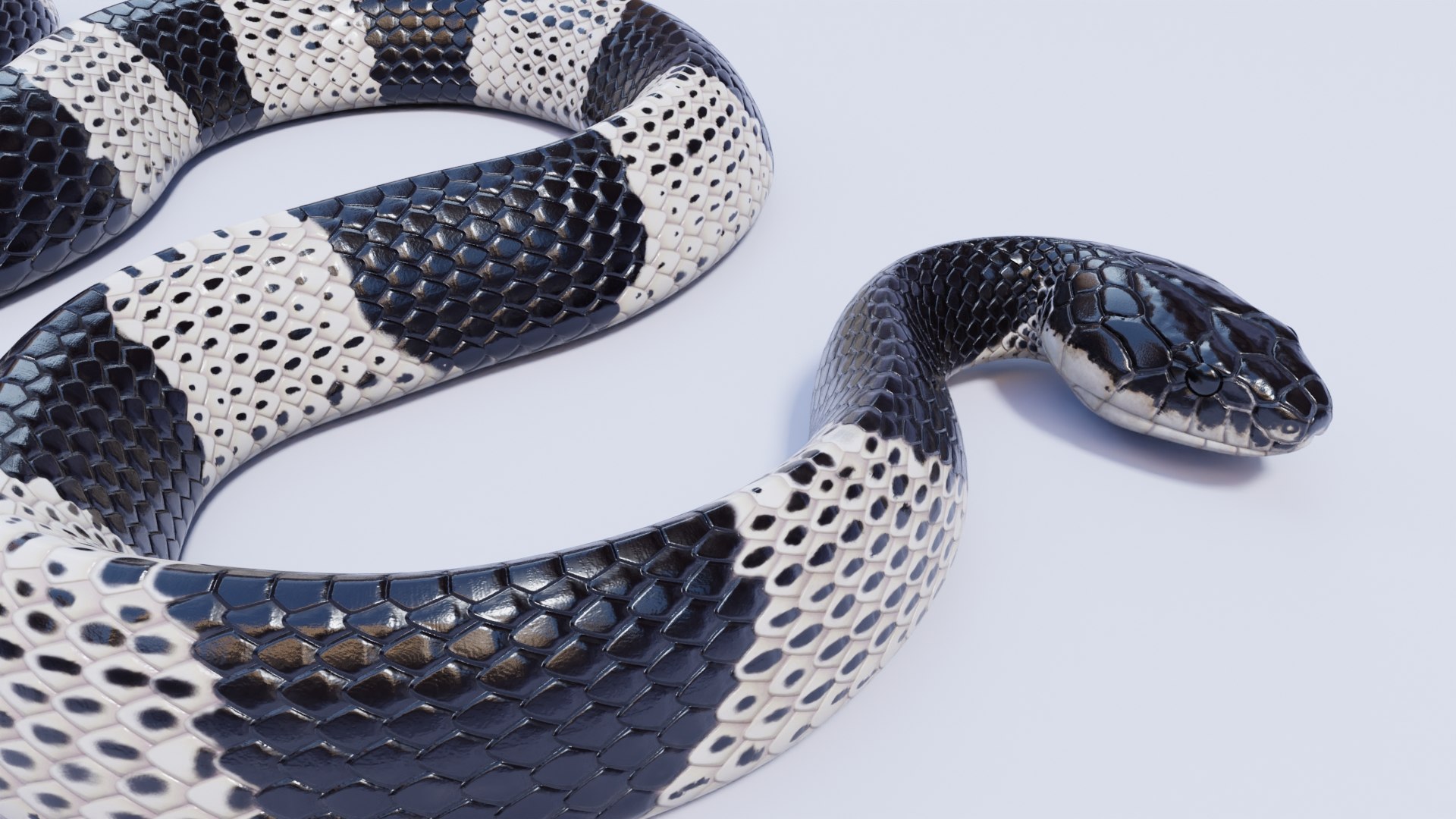 Rigged Malayan Krait 3D Model - TurboSquid 1952289