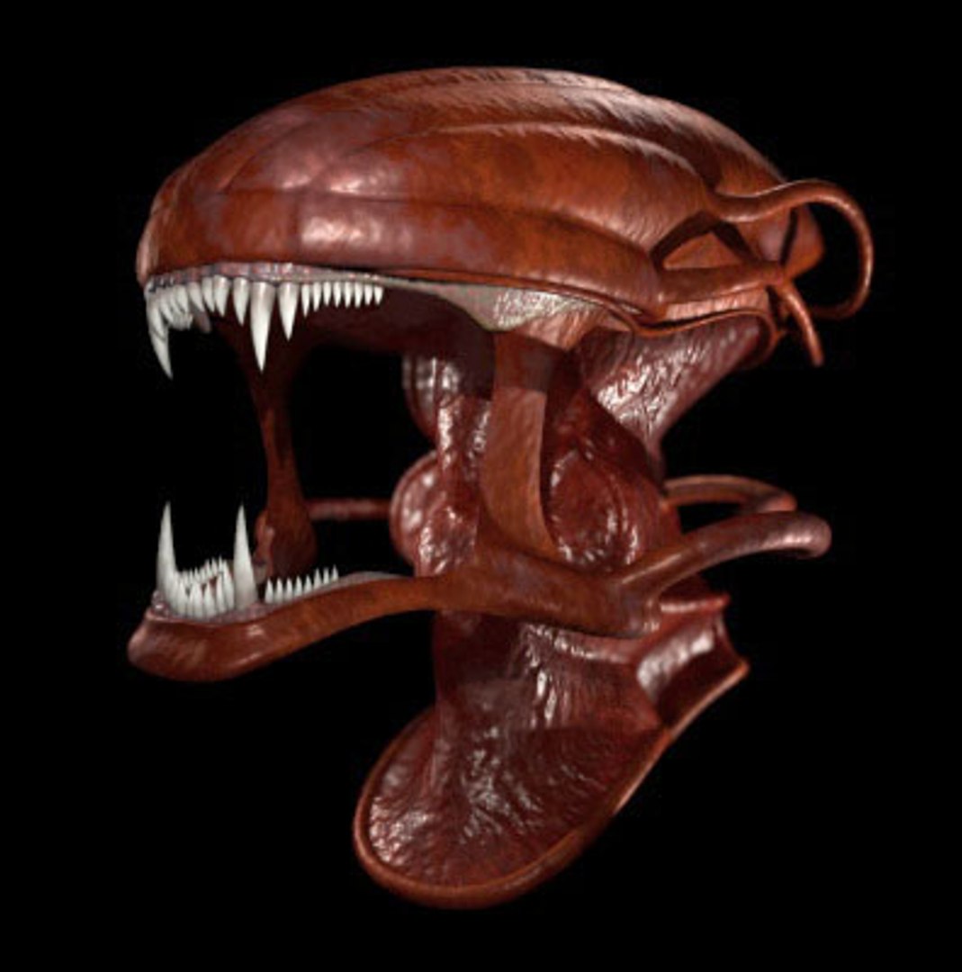 alien head 3d model