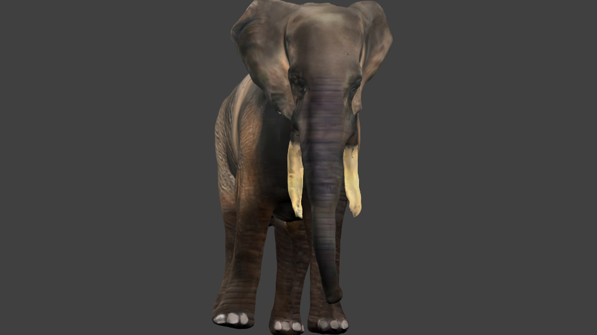 african elephant obj free