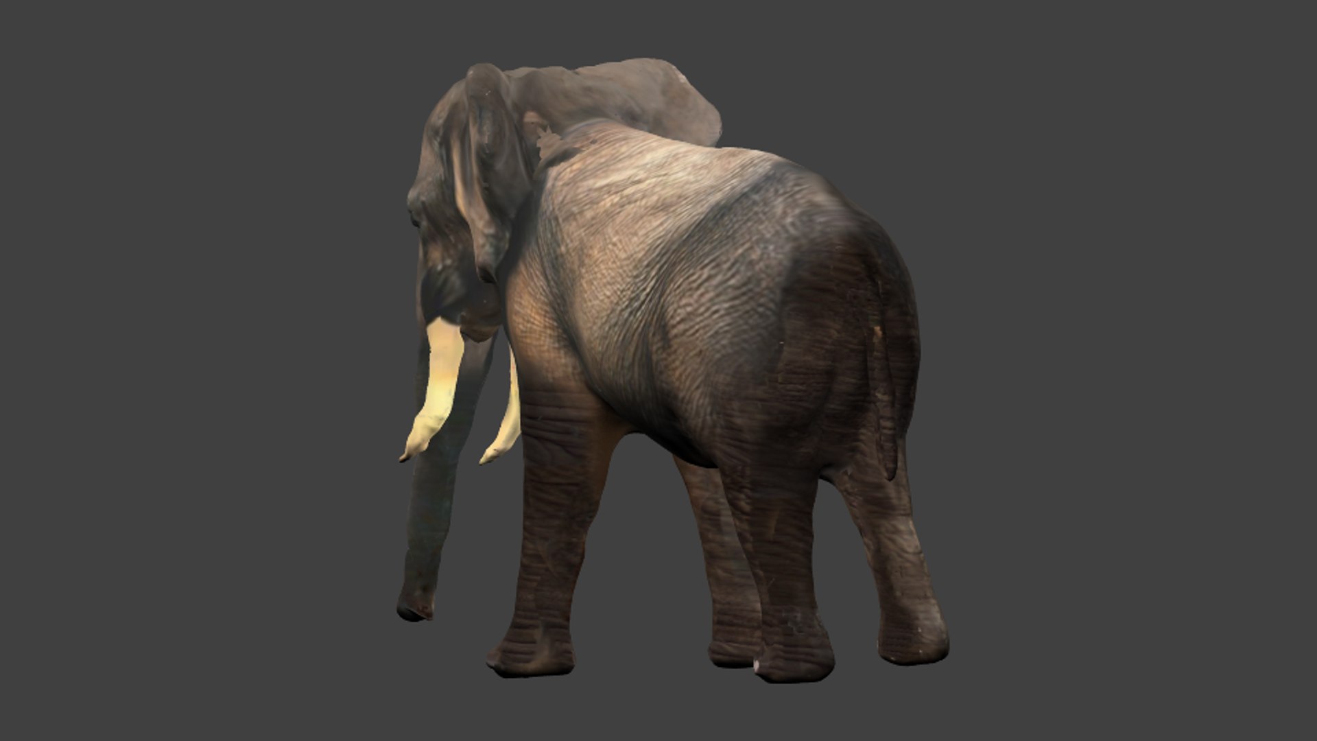 African Elephant Obj Free
