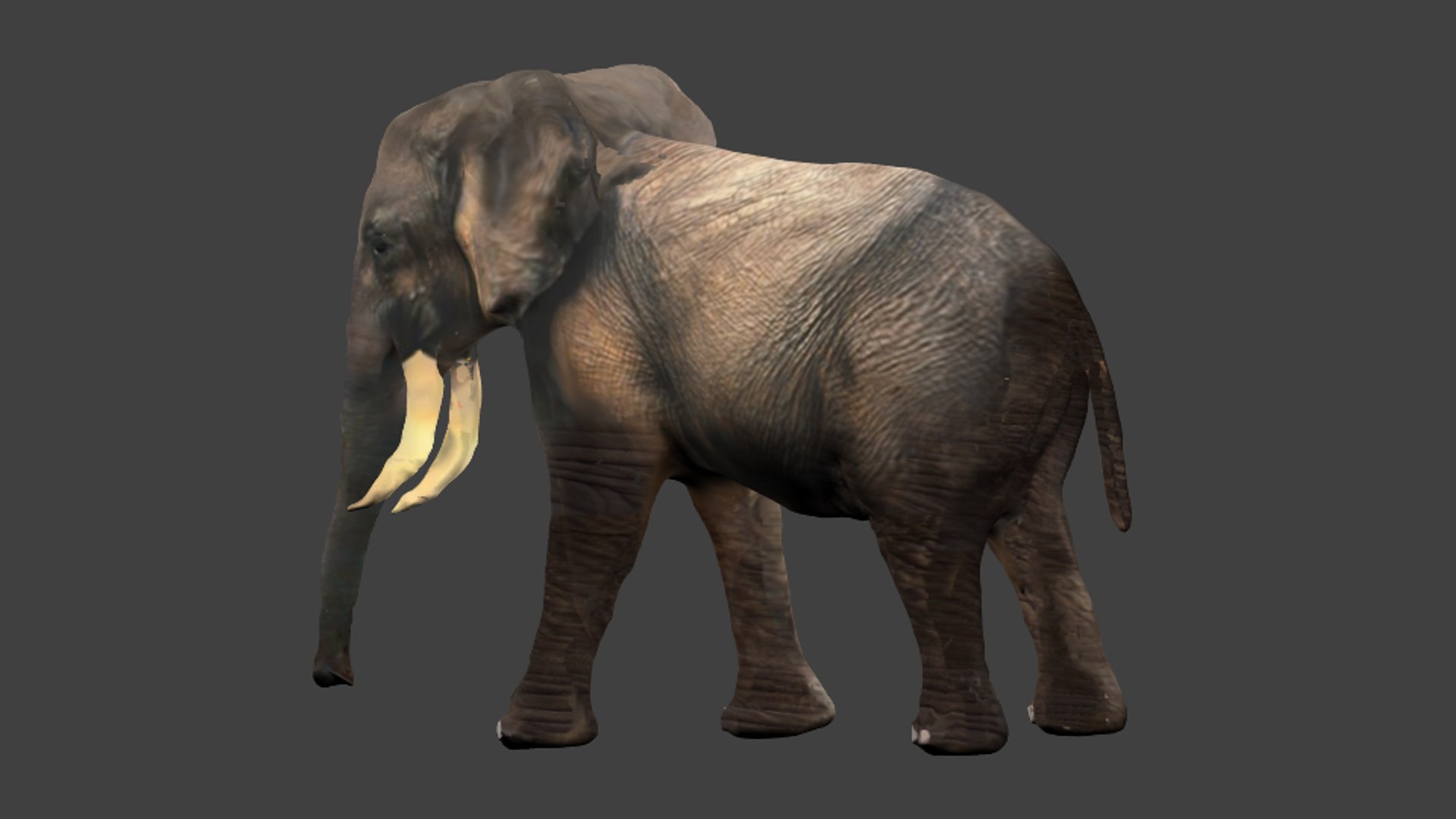 African Elephant Obj Free
