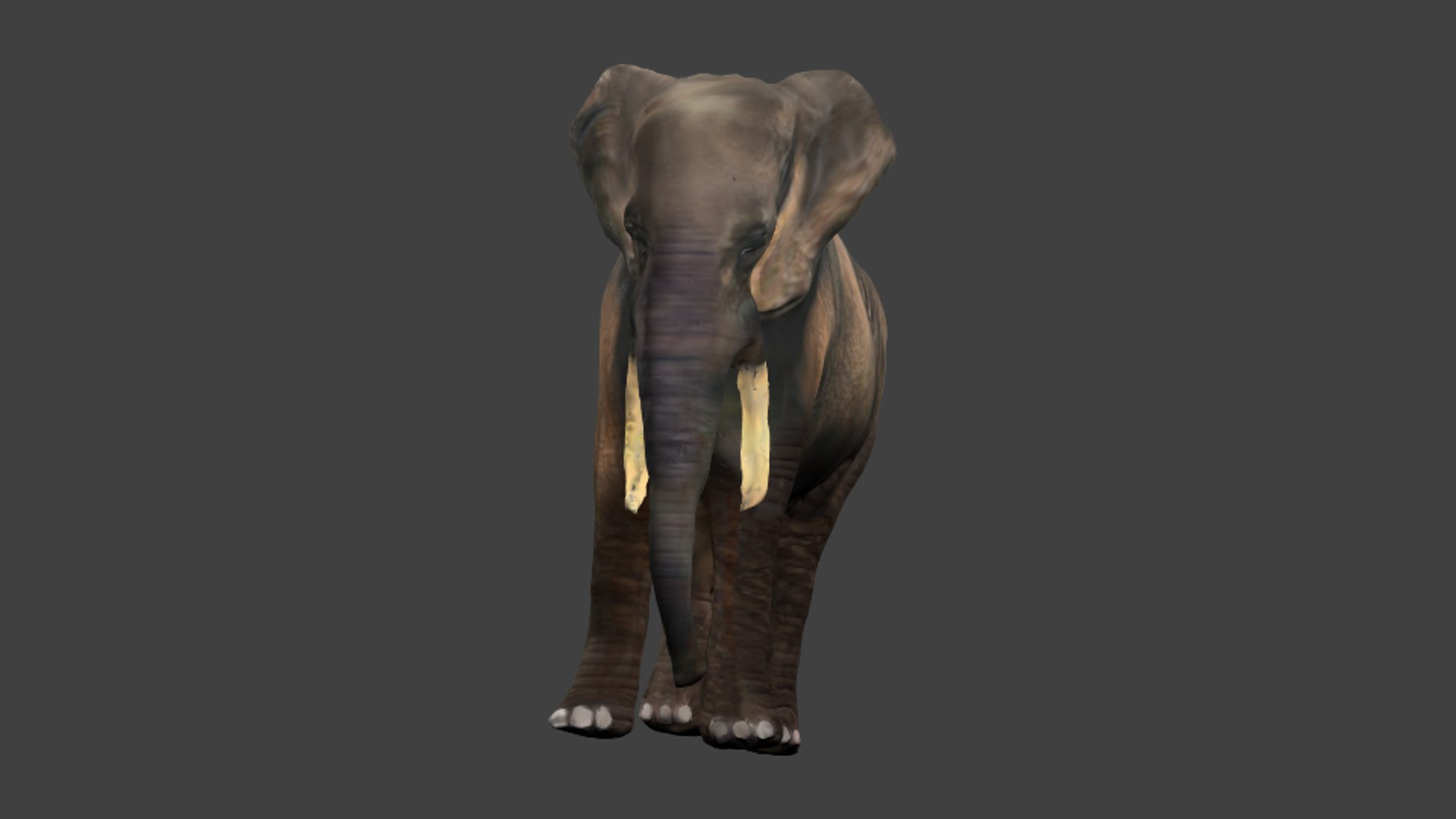 African Elephant Obj Free