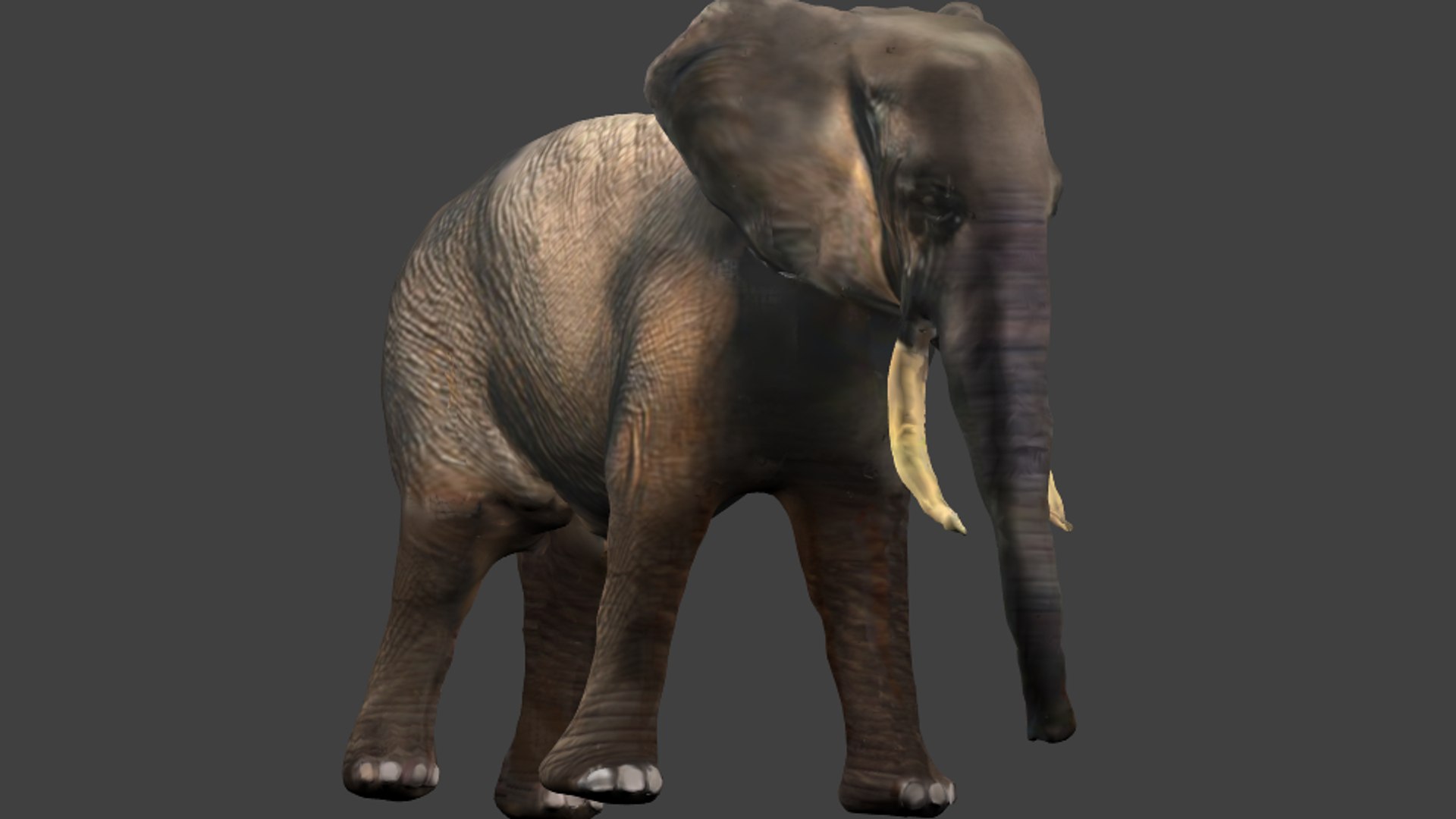African Elephant Obj Free