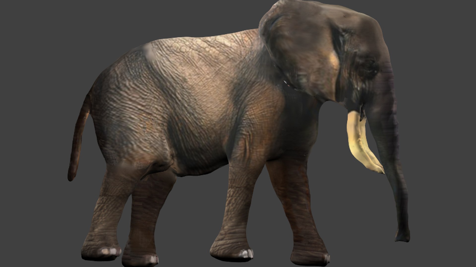 African Elephant Obj Free