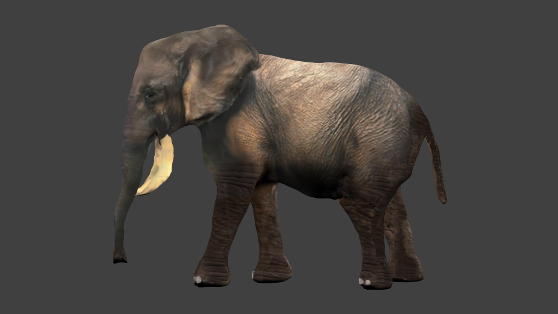 African Elephant Obj Free