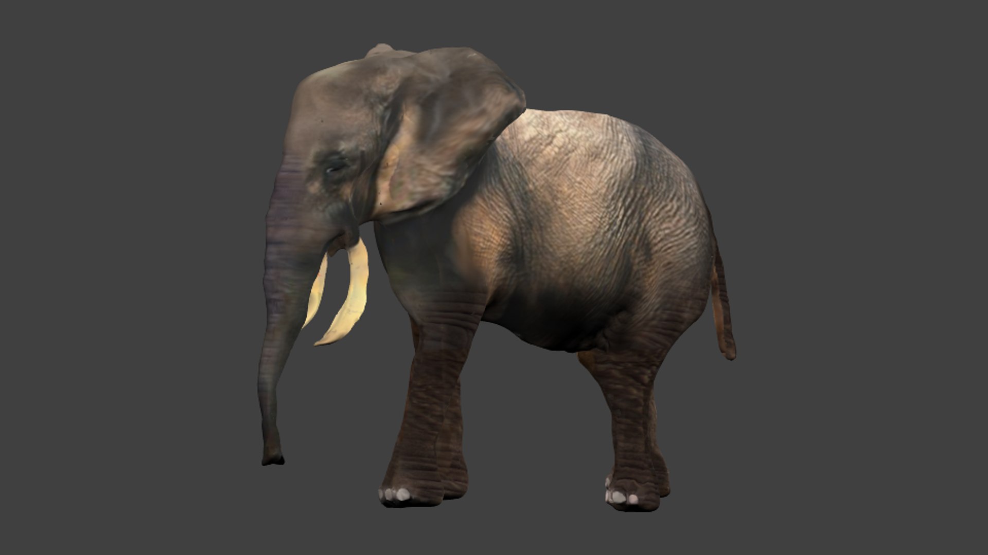 African Elephant Obj Free