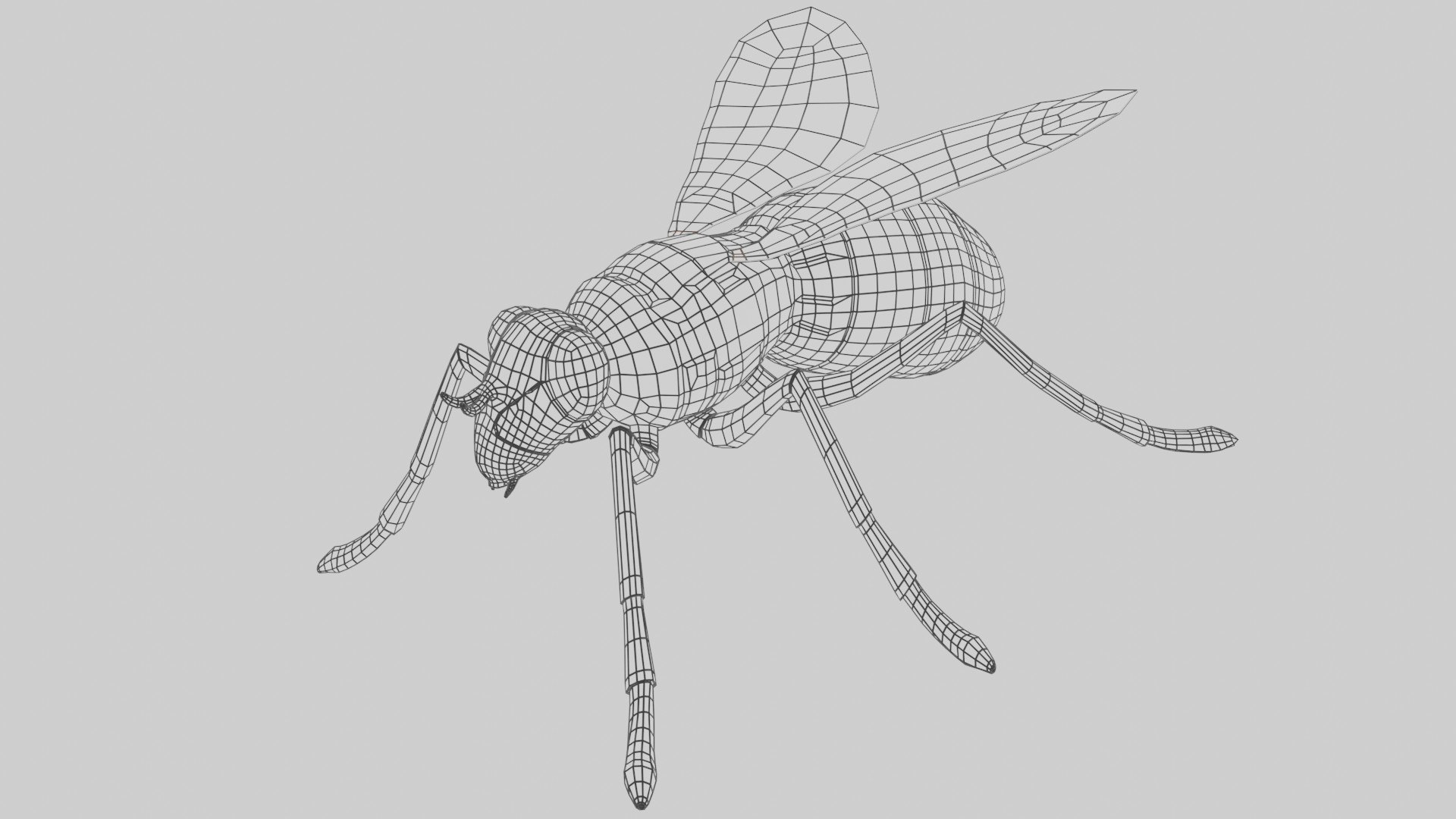 3D House Fly Rigged - TurboSquid 1667406