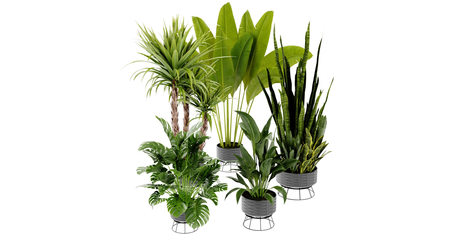 3D Collection Plant Vol 440 - Blender Model - TurboSquid 2097169