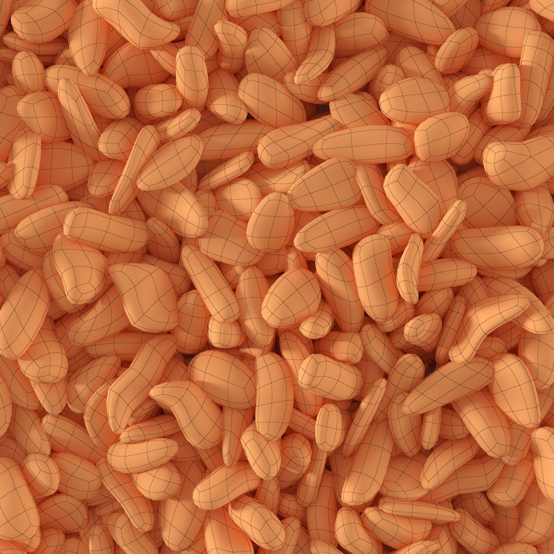 3D model pebble - TurboSquid 1523351