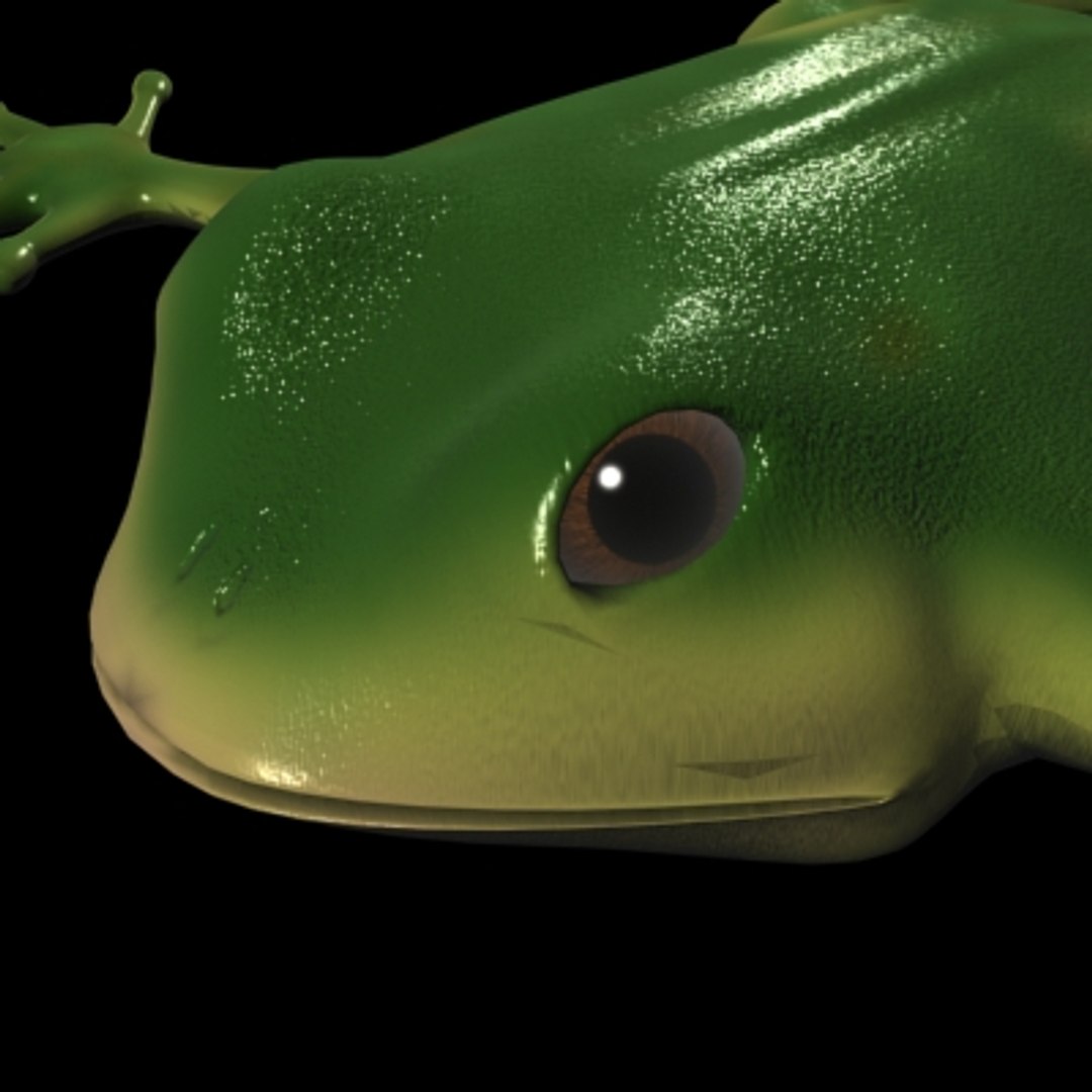 Frog 3d Model