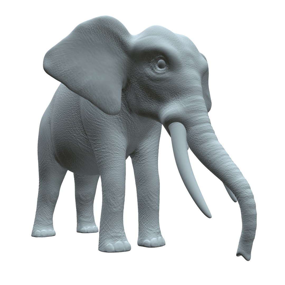 3D Elephant Animals Mammal Model - TurboSquid 1265774