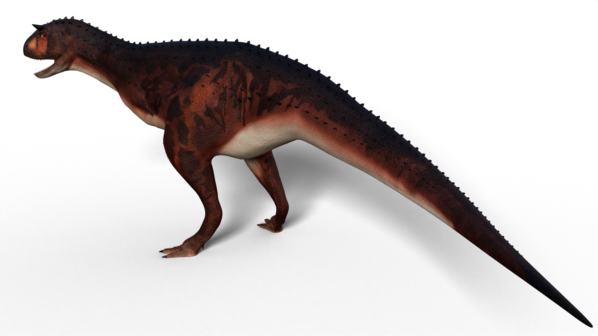 Carnotaurus sastrei 3D model - TurboSquid 1569231