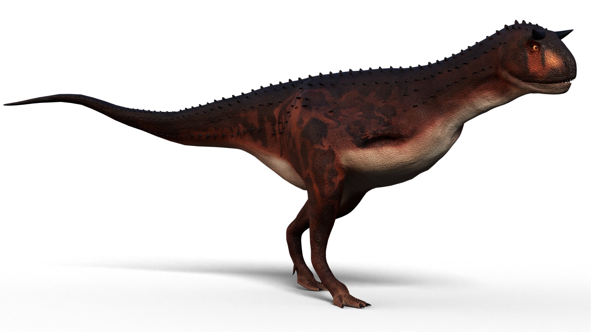 Carnotaurus Sastrei 3d Model Turbosquid 1569231