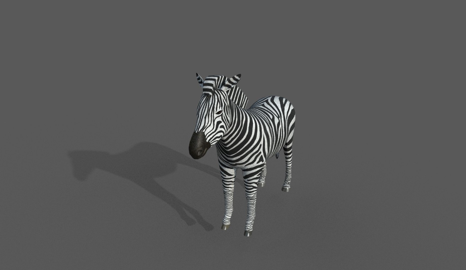 3D Zebra Animal Wildlife Model - TurboSquid 1701182