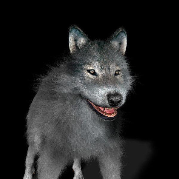 wolf 3d obj