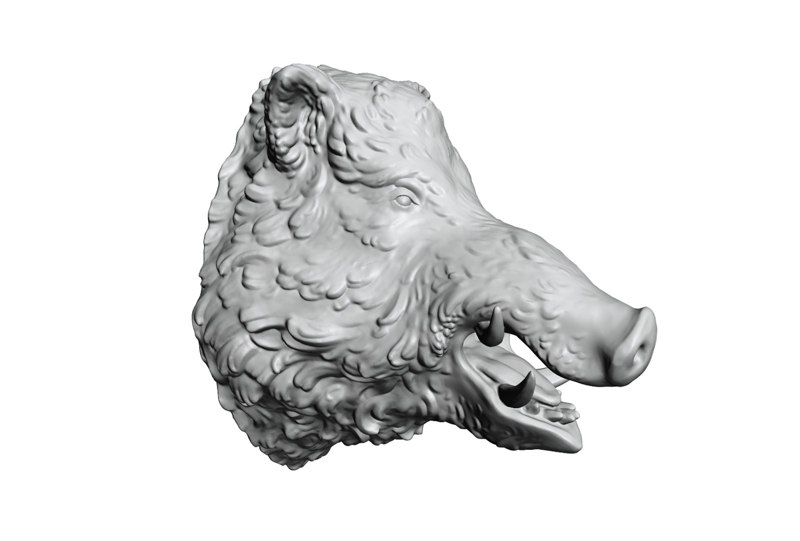 3D Head Boar - TurboSquid 1171140