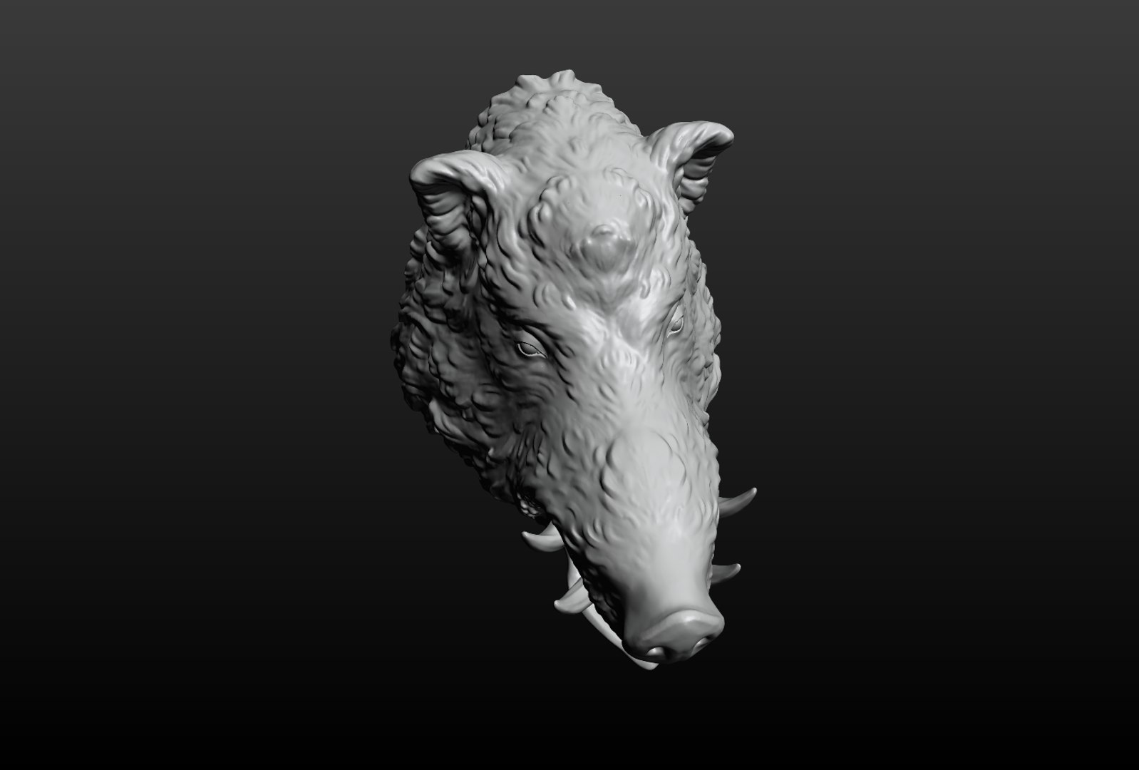 3D Head Boar - TurboSquid 1171140