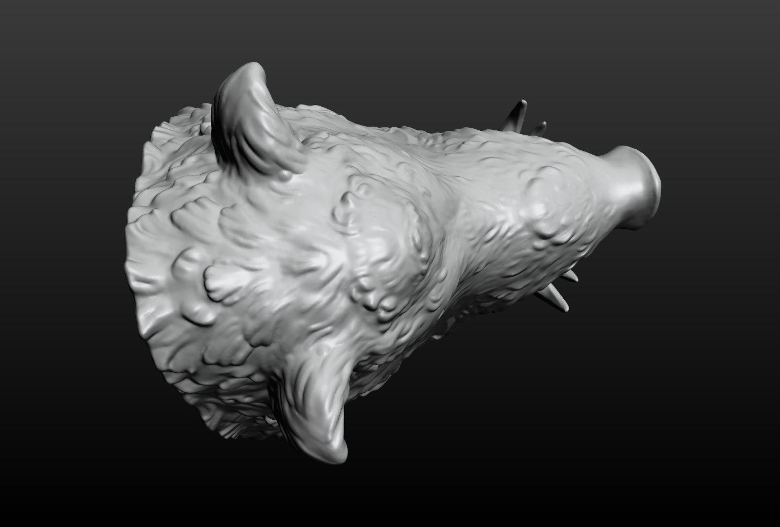 3D Head Boar - TurboSquid 1171140