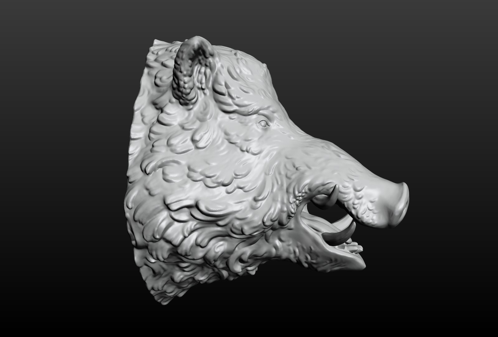 3D Head Boar - TurboSquid 1171140