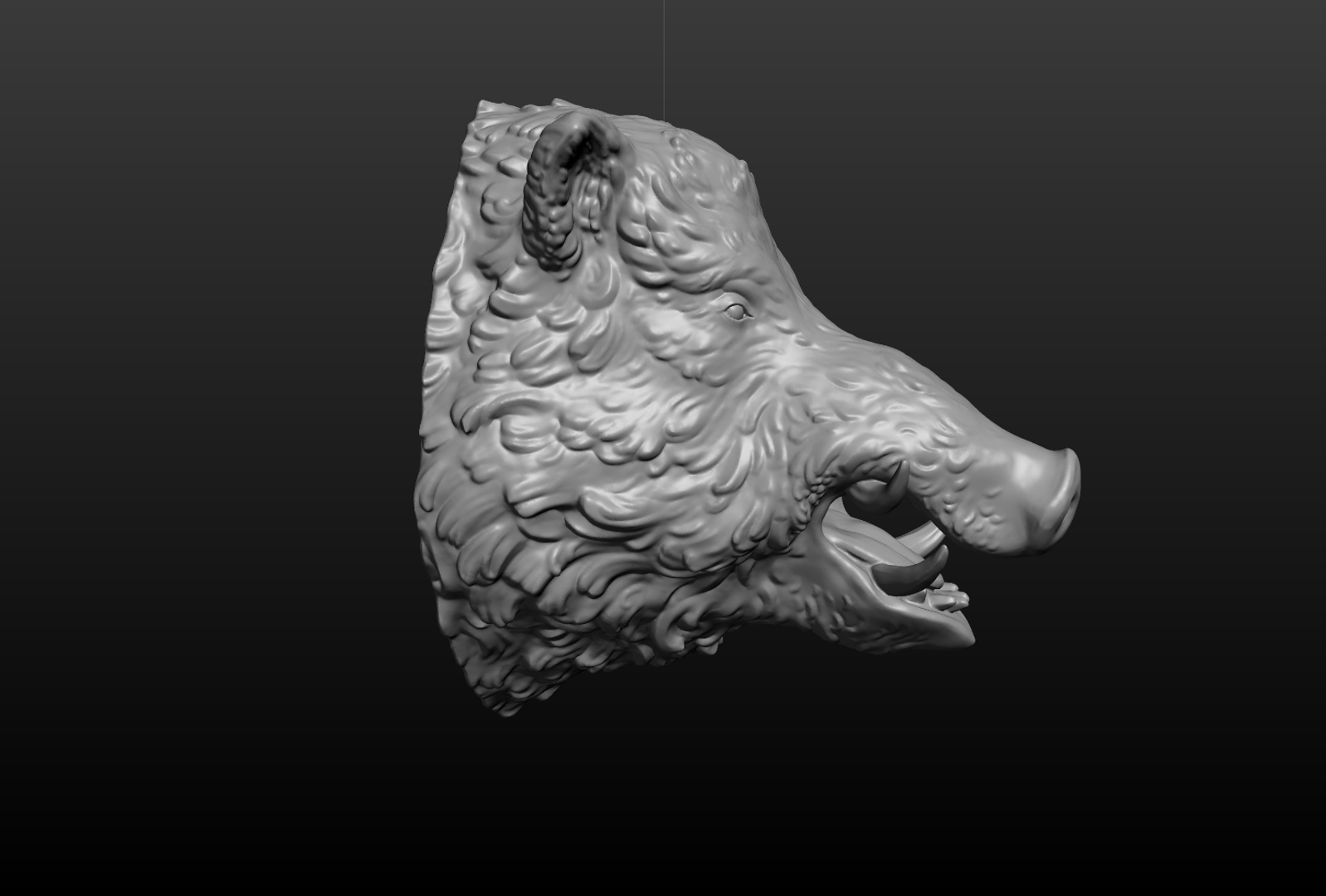 3D Head Boar - TurboSquid 1171140