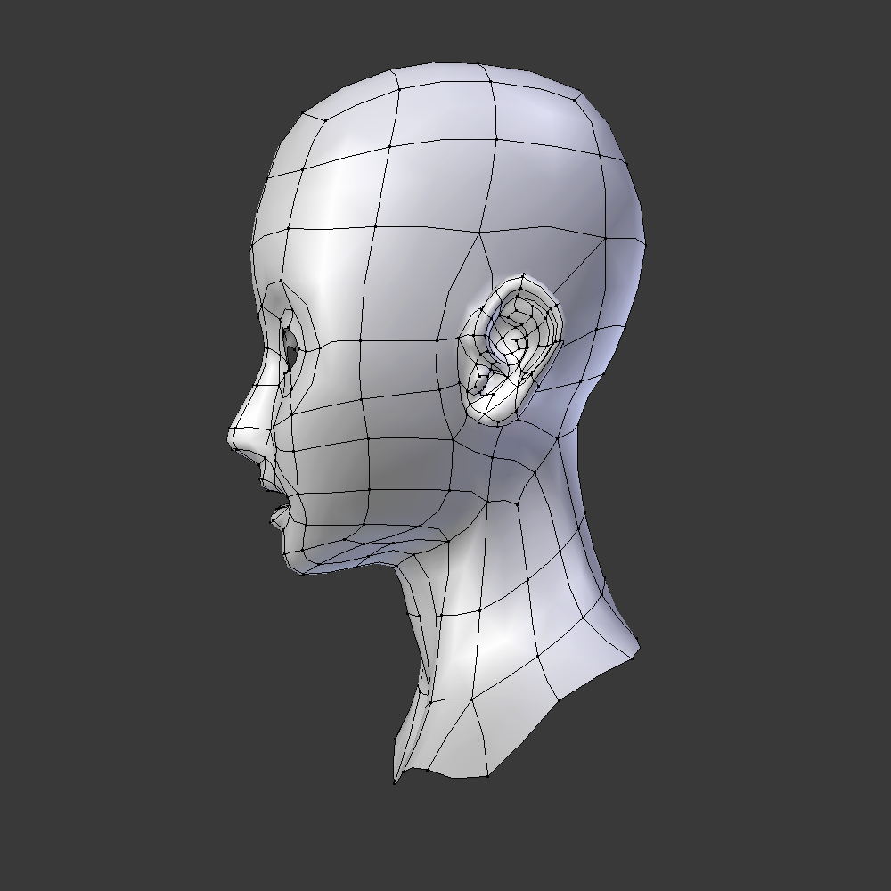 head base mesh 3d model