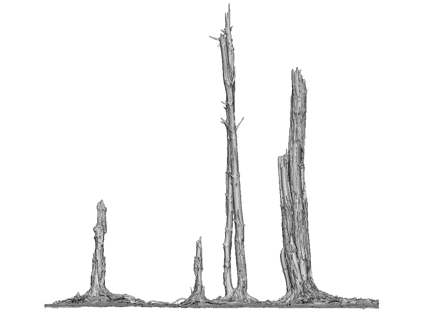 Desert Tree Standing 02 Model - TurboSquid 1380493