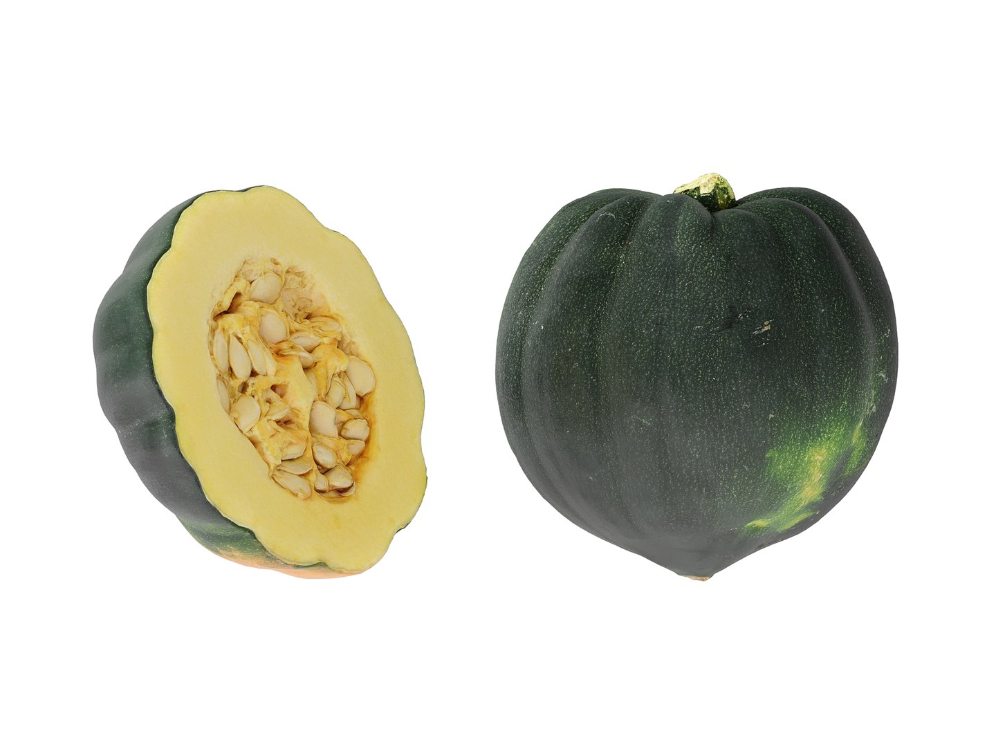 Acorn Squash 3D - TurboSquid 2095226