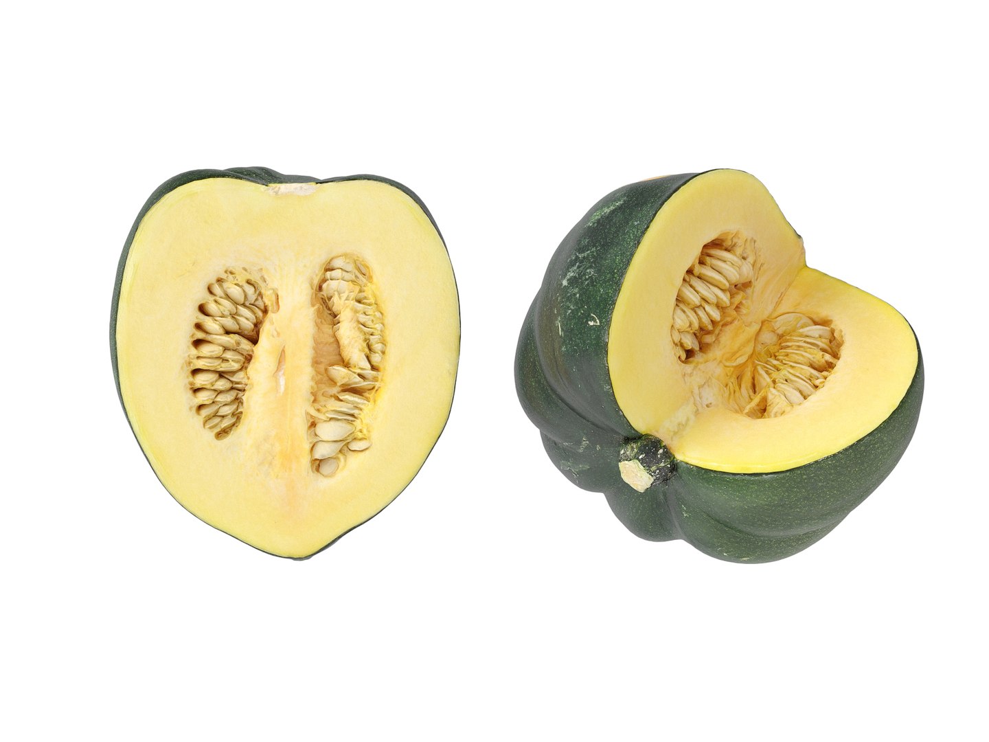 Acorn Squash 3D - TurboSquid 2095226