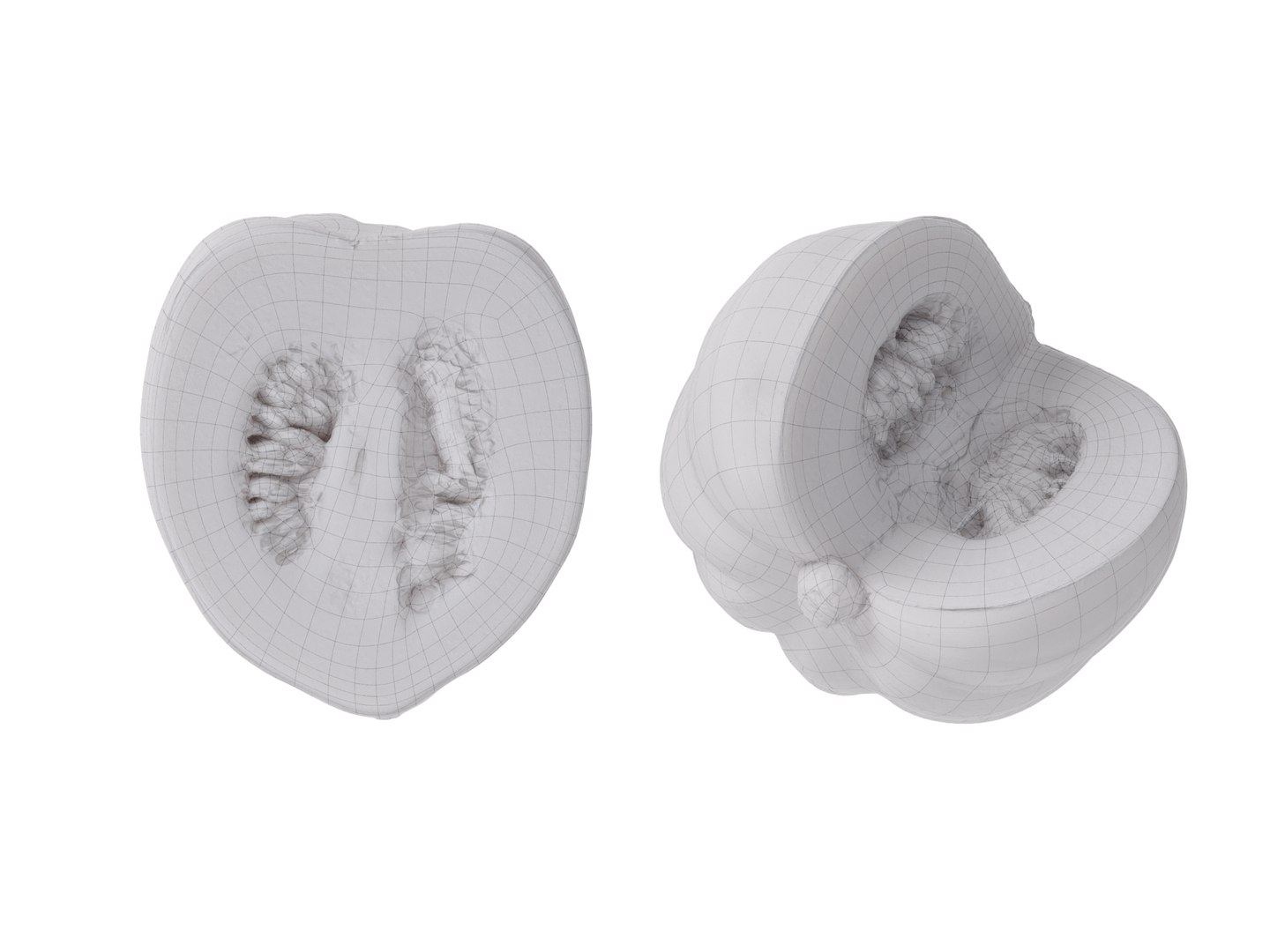 Acorn Squash 3D - TurboSquid 2095226