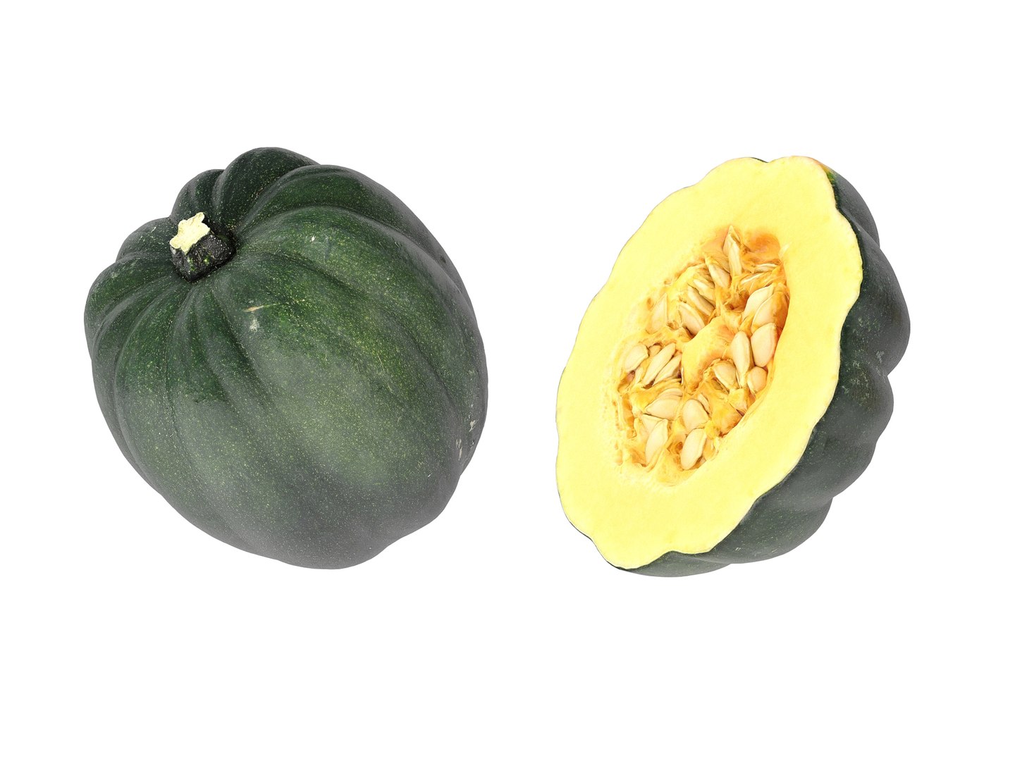 Acorn Squash 3D - TurboSquid 2095226