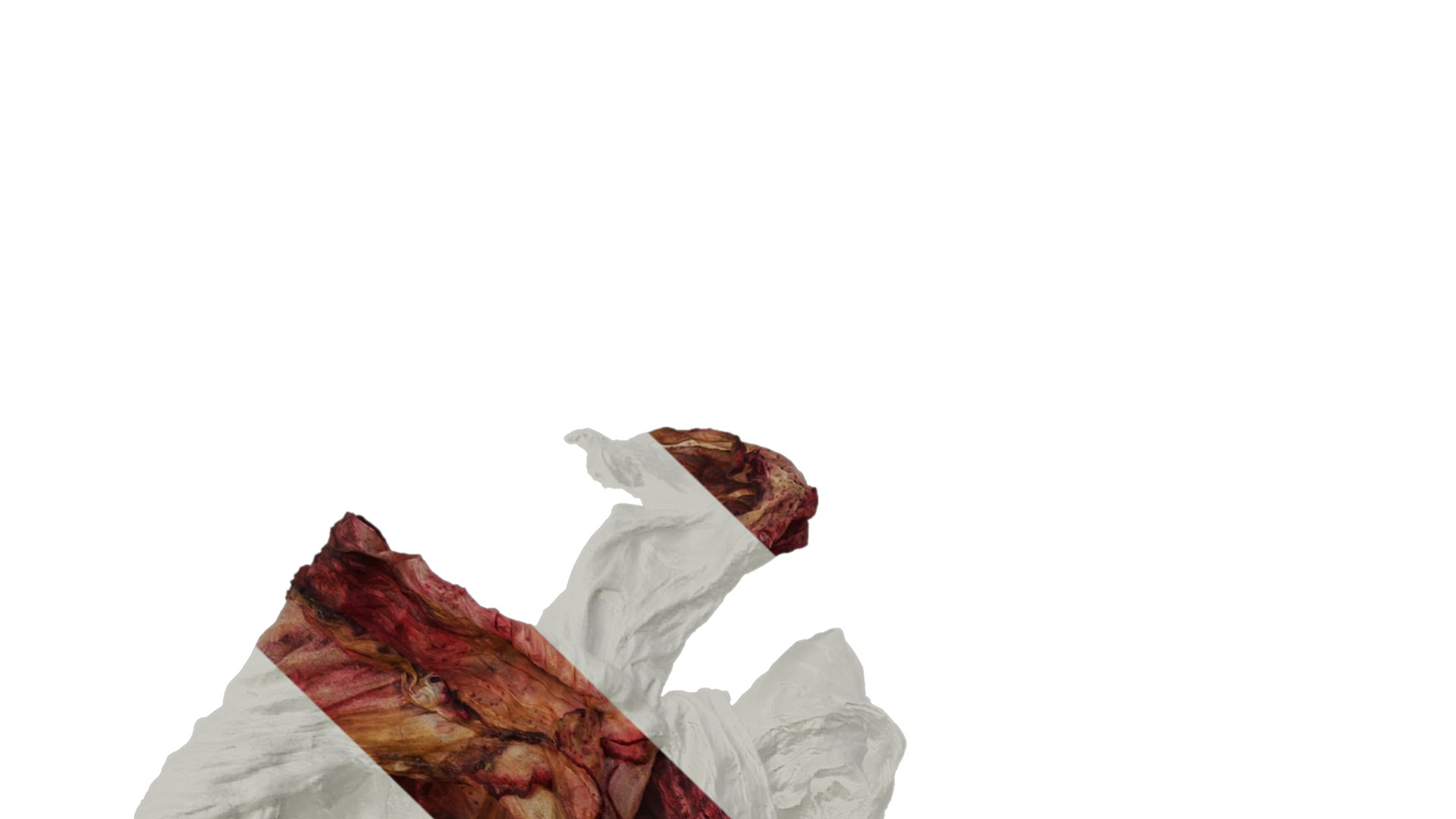 Anydrafts Hippeastrum Striatum Flower 14 Textures 3D - TurboSquid 2356128