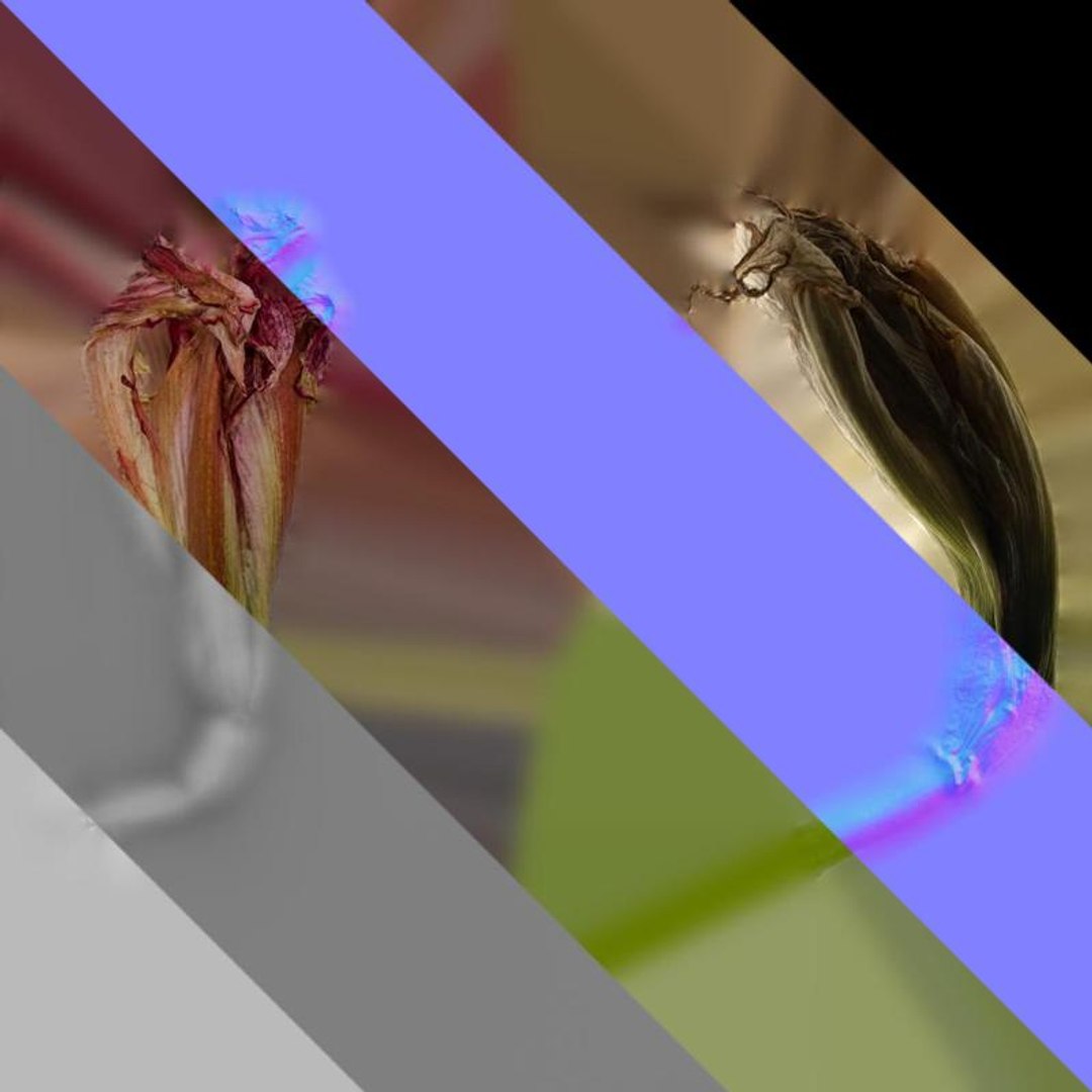 Anydrafts Hippeastrum Striatum Flower 14 Textures 3D - TurboSquid 2356128