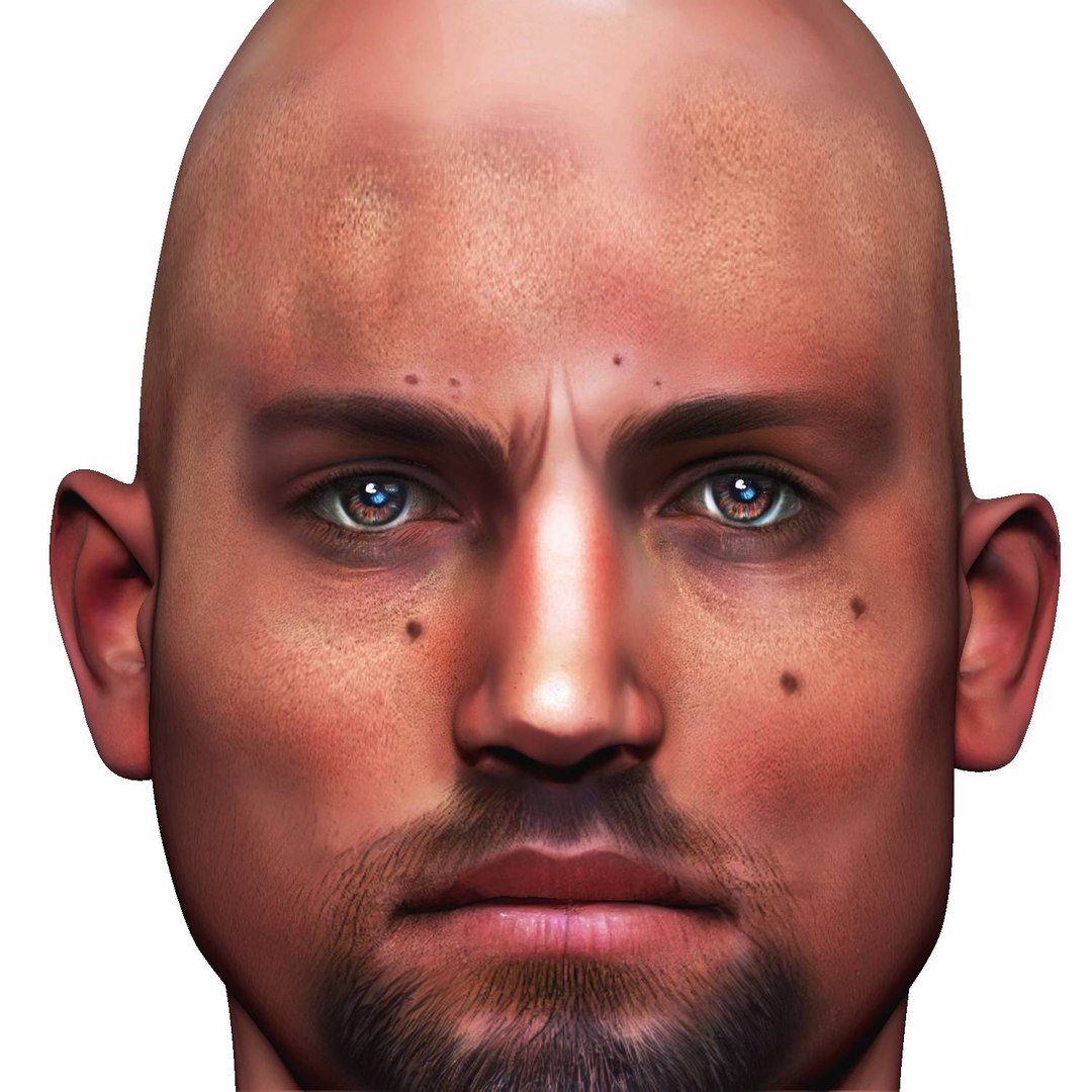 3D Male Head Realistic Perfect Head Low-poly 3D Model Game Ready Low-poly 3D Model - TurboSquid ...