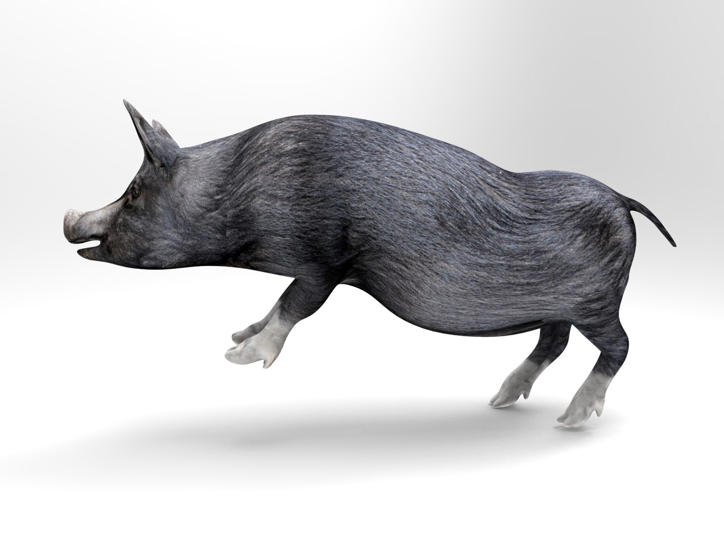 Pig rigged animation 3D model - TurboSquid 1212905
