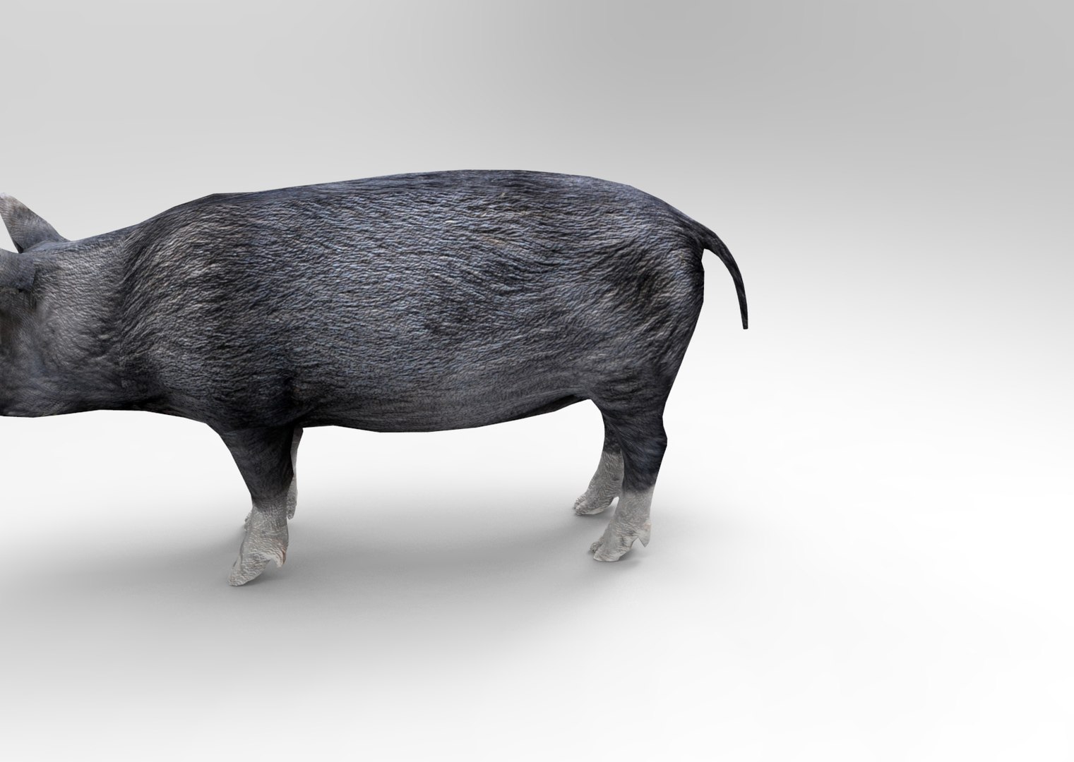 Pig rigged animation 3D model - TurboSquid 1212905