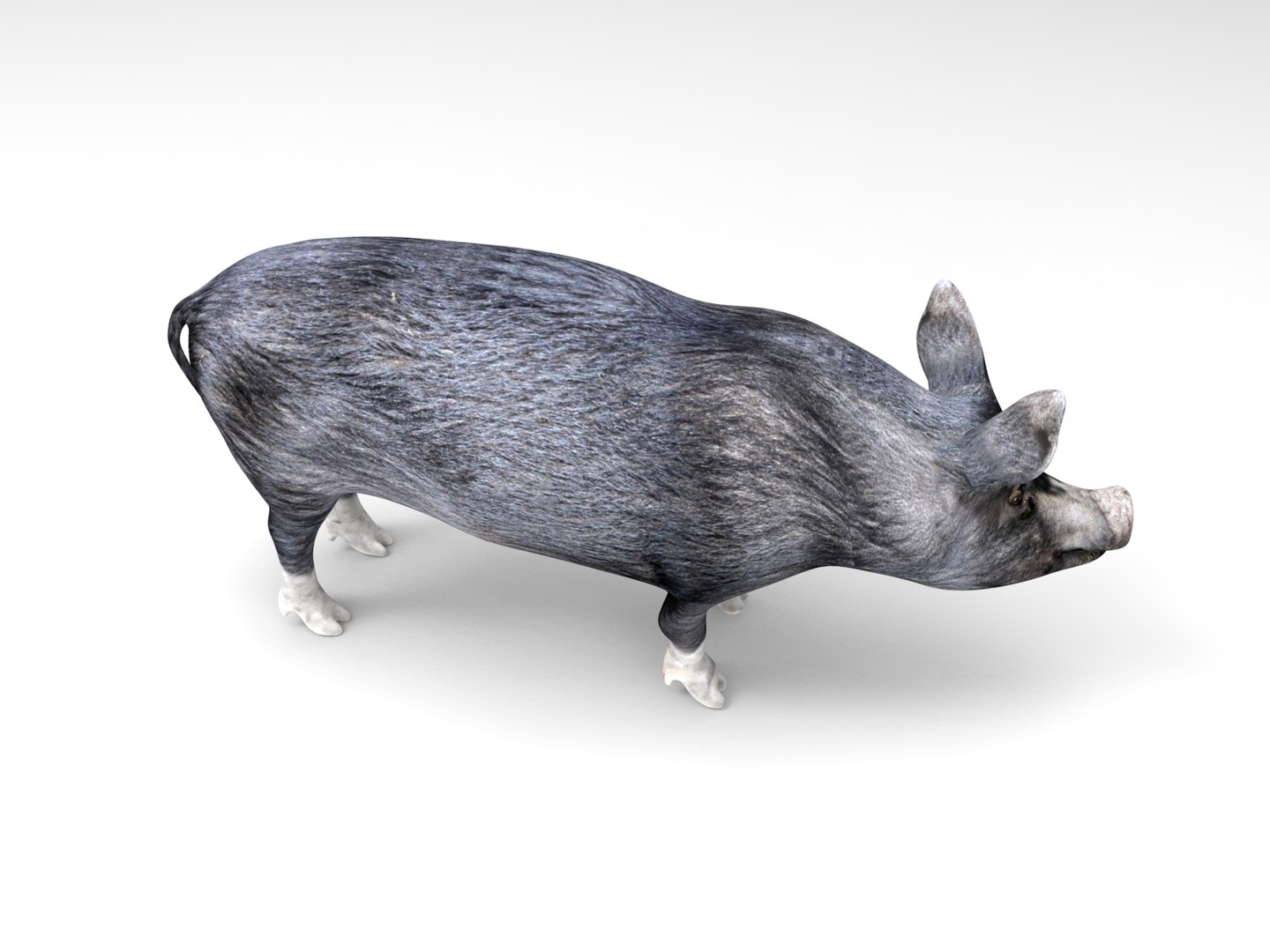 Pig rigged animation 3D model - TurboSquid 1212905