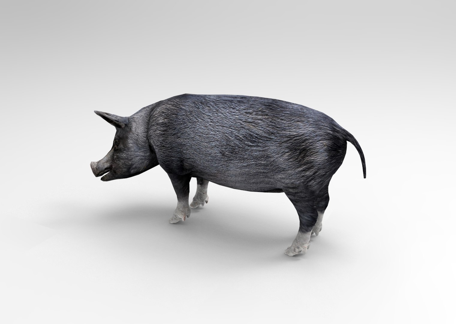 Pig rigged animation 3D model - TurboSquid 1212905