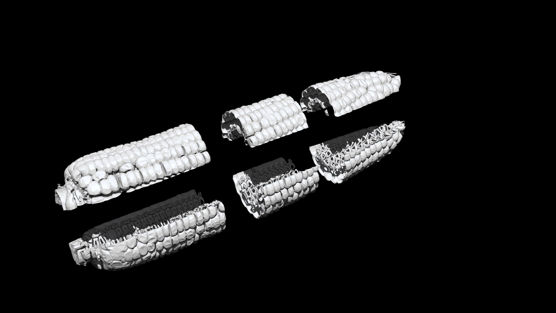 3D Corn 3D CT Scan Model Cut3 Decimate 5 Percent Model - TurboSquid 1945275