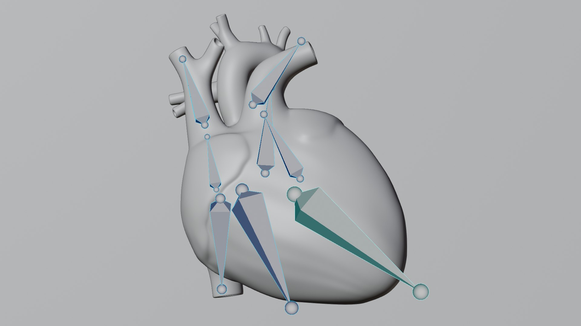 Heart Animated model - TurboSquid 2030398