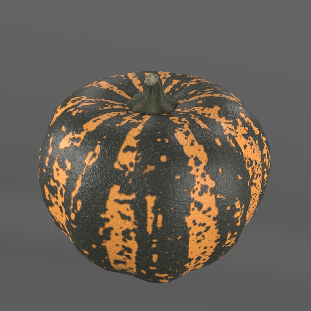 3D Model Four Varieties Of Pumpkin Gourds - TurboSquid 2246459