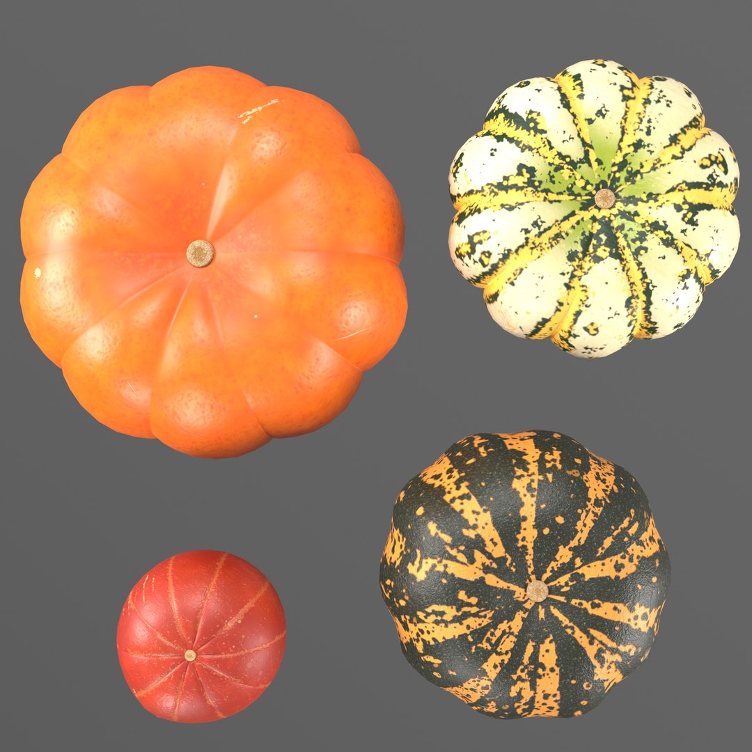 3D Model Four Varieties Of Pumpkin Gourds - TurboSquid 2246459