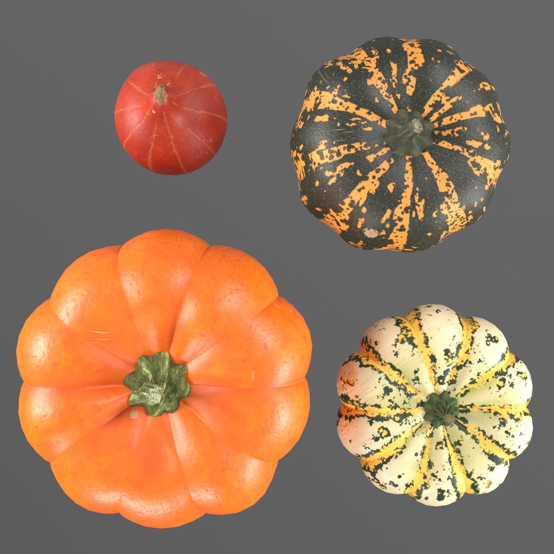 3D Model Four Varieties Of Pumpkin Gourds - TurboSquid 2246459