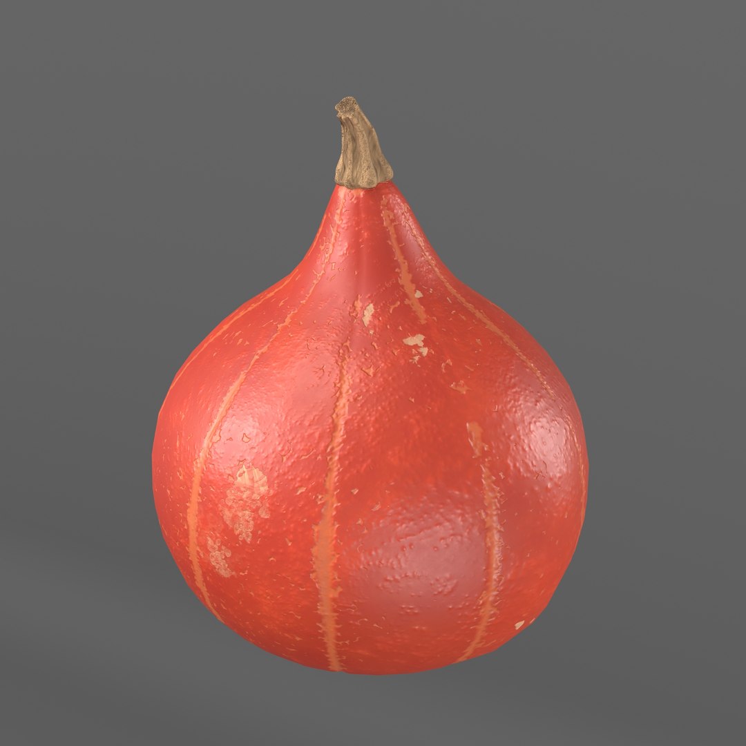 3D Model Four Varieties Of Pumpkin Gourds - TurboSquid 2246459