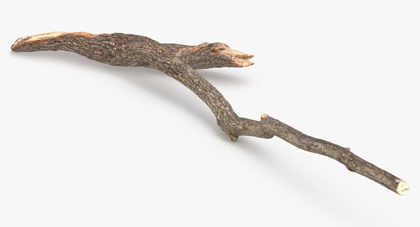 Fallen Branch 02 model - TurboSquid 1869692